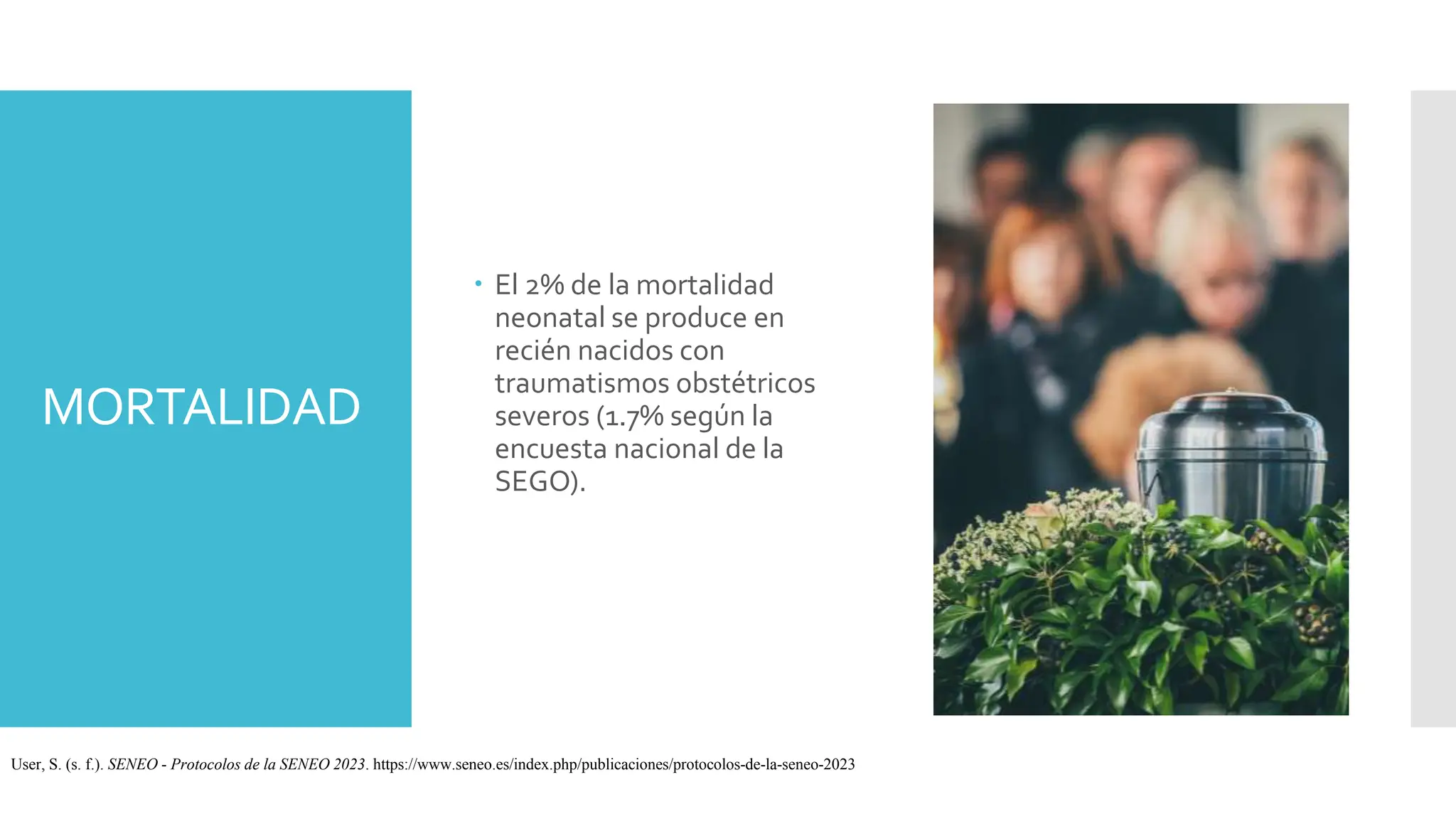 LESIONES ASOCIADAS ALA VIA DEL NACIMIENTO.pptx
