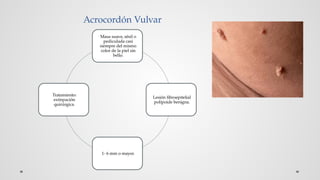 Lesiones_Benignas Vulva Dra. Kt Mrill ptx | PPTX