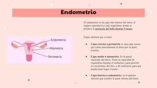Lesiones beningas del cérvix e hiperplasia de endometrio. | PPTX