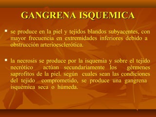 Gangrena seca y lesiones cutaneas | PPT