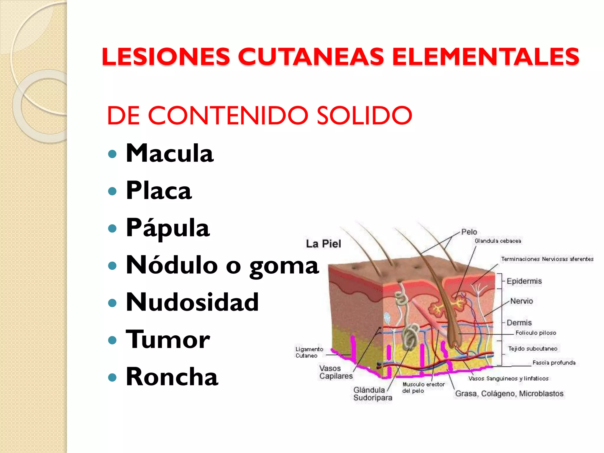 Lesiones cutaneas elementales. dermatologia. efrain negrete | PPTX