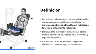 lesiones de aparato extensor de miembros elvicos | PPTX