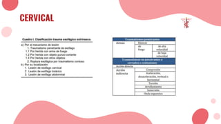 LESIONES DE ESOFAGO y trauma_104651.pptx