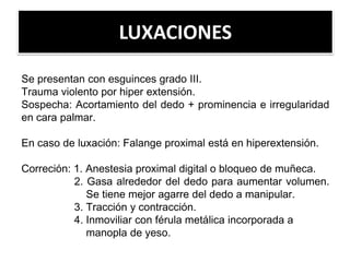 Lesiones de la mano CX | PPTX