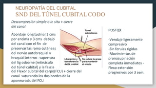 NEUROPATIA DEL MEDIANO (STC, SND PRONADOR ) CUBITO (SND TUNEL CUBITAL ...