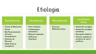 Lesiones de plexo braquial | PDF