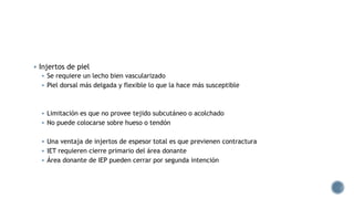 Lesiones de Pulpejo | PPTX