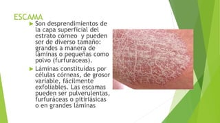 Lesiones Dermatológicas en Podología, características y tratamiento. | PPTX