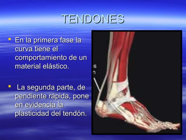 Lesiones de tendones | PPT | Free Download