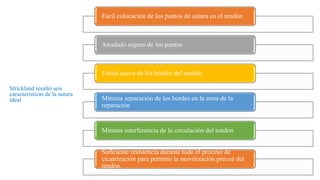 Lesiones de tendones flexores trauma.1.pptx