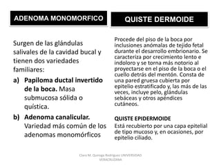 Lesiones diversas de la cavidad bucal | PPTX