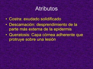 Lesiones elementales | PPS