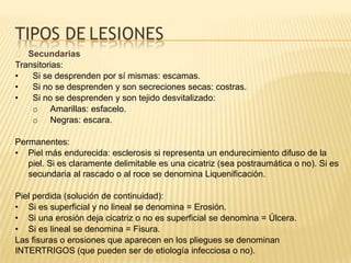 Lesiones elementales | PPTX