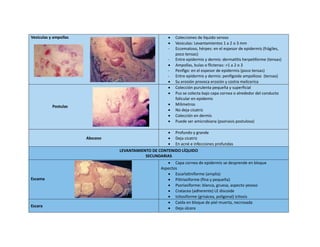Lesiones elementales.pdf