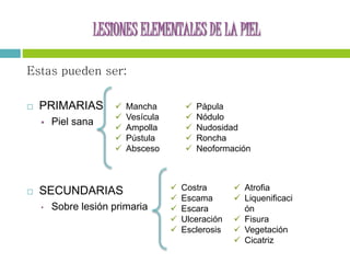 Lesiones elementales de la piel. PRIMARIAS Y SECUNDARIAS. | PPTX | Skin ...