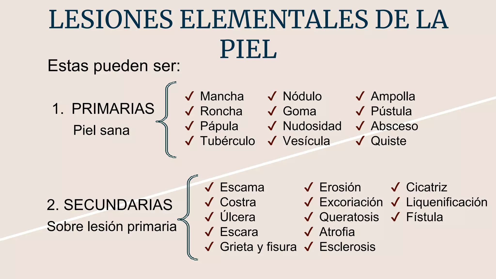Lesiones elementales de la piel.pptx