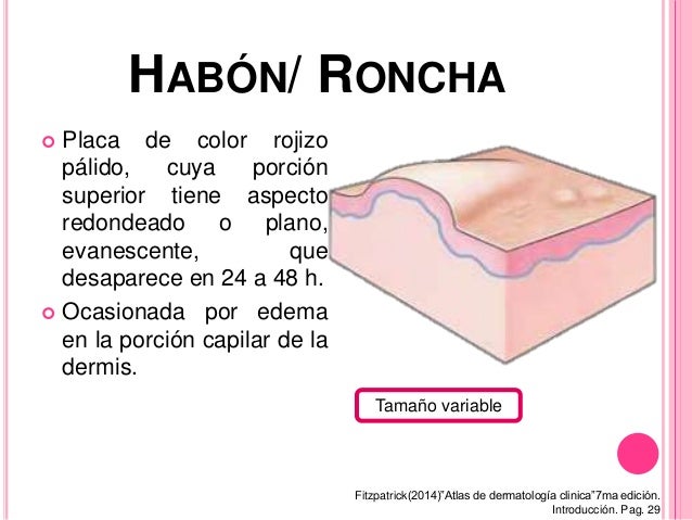 Lesiones elementales primarias