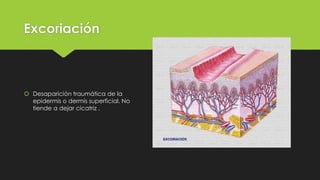 Lesiones Elementales Secundarias De La Piel Semiologia Pptx