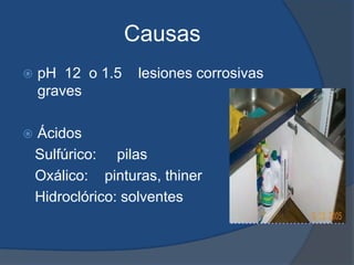 Lesiones esofagica por caustico | PPTX