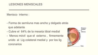 Manejo traumatológico de lesiones meniscales | PPTX