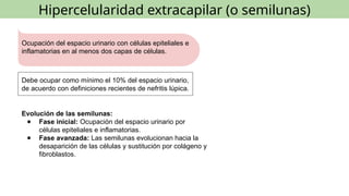 Lesiones morfológicas del glomérulo Nefrologia | PPTX