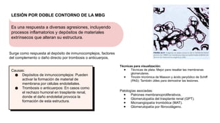 Lesiones morfológicas del glomérulo Nefrologia | PPTX