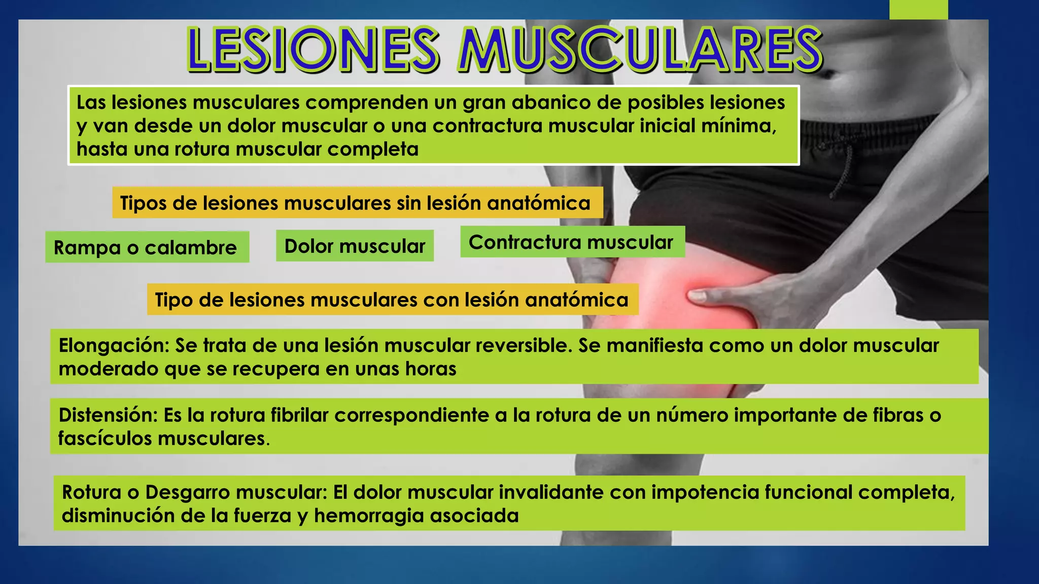 Lesiones musculares infografia | PDF