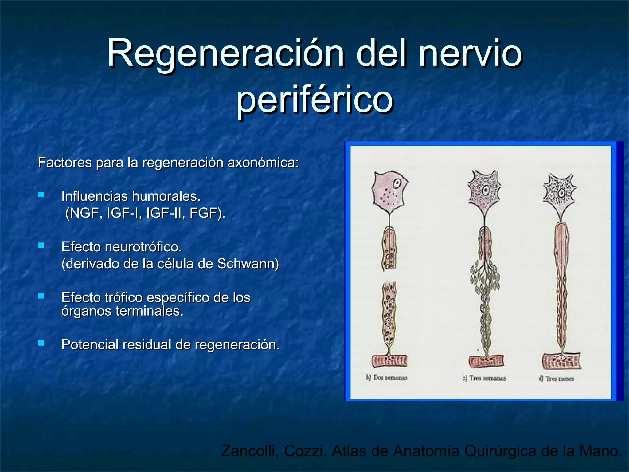 Lesiones nerviosas | PPT