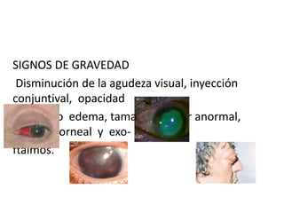 Lesiones oculares y orbitarias | PPTX