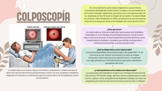LESIONES PREINVASIVAS DE LA PORCIÓN INFERIOR DEL APARATO GENITAL.pdf