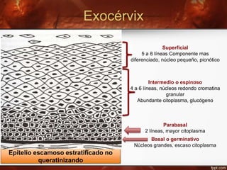 Lesiones preinvasoras del cervix | PPTX