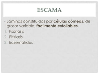 Lesiones primarias de la piel | PPTX