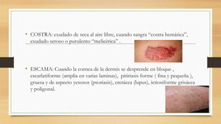 lesiones primarias y secundarias en Dermatología.pptx