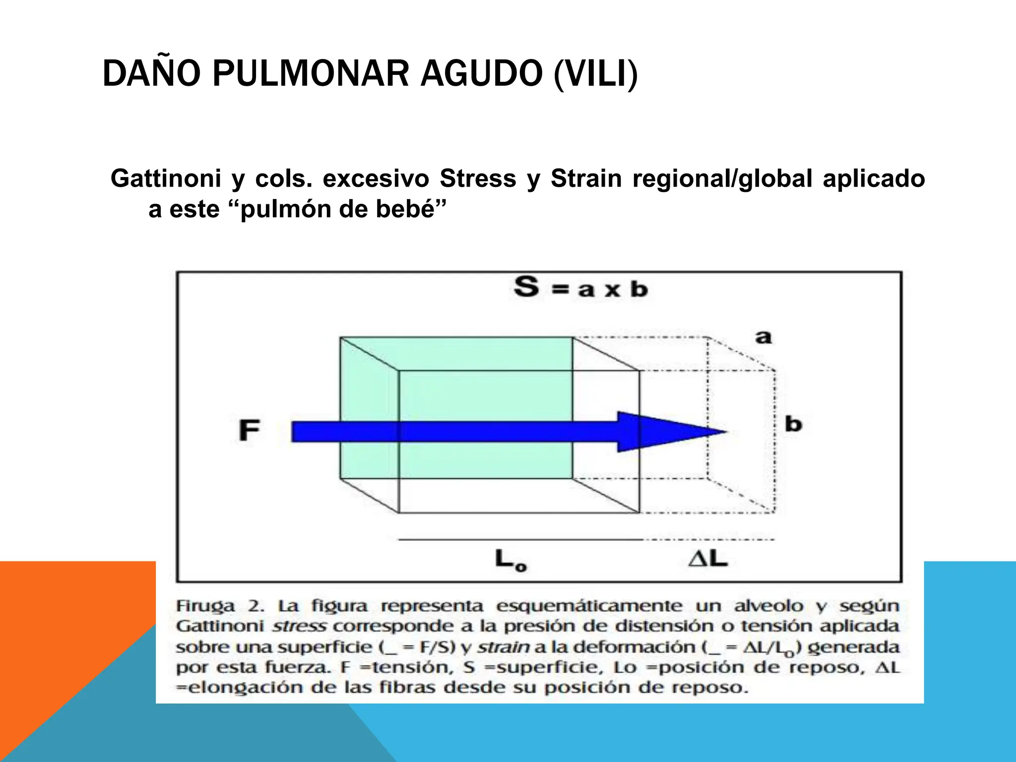 Lesiones pulmonares inducidas por la ventilación mecánica.pptx