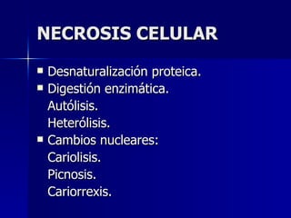 LESIONES REVERSIBLES E IRREVERSIBLES | PPT
