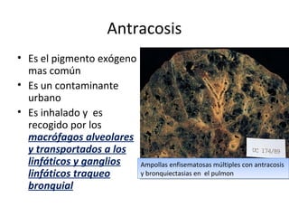 Lesiones reversibles e_irreversibles_ii_clase | PPT