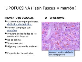 Lesiones reversibles e_irreversibles_ii_clase | PPT