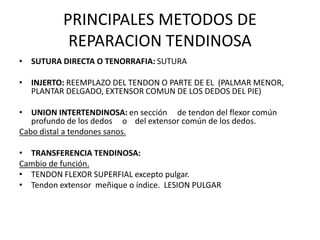 Lesiones tendinosas de la mano | PPTX