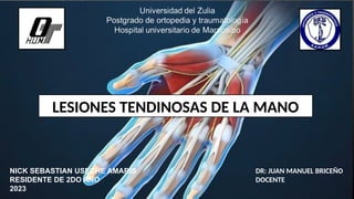 LESIONES TENDINOSAS EXTENSORES NICK..pptx