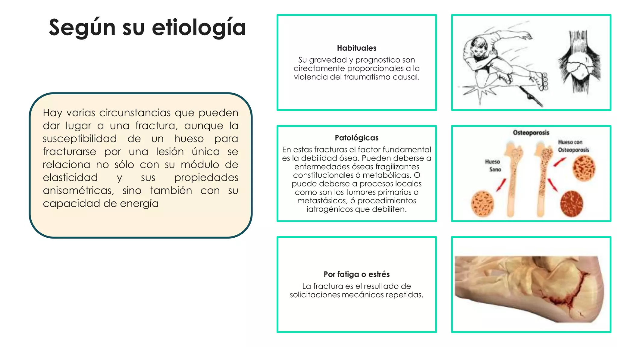 Lesiones traumáticas más frecuentes | PPTX