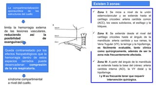 lesiones vasculares del cuello.pptxbbbbbbbbbbbbbbbbbbbbbb | PPTX