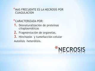 Lesion inflamación | PDF