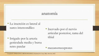 Lesion ligamentos cruzados.pptx