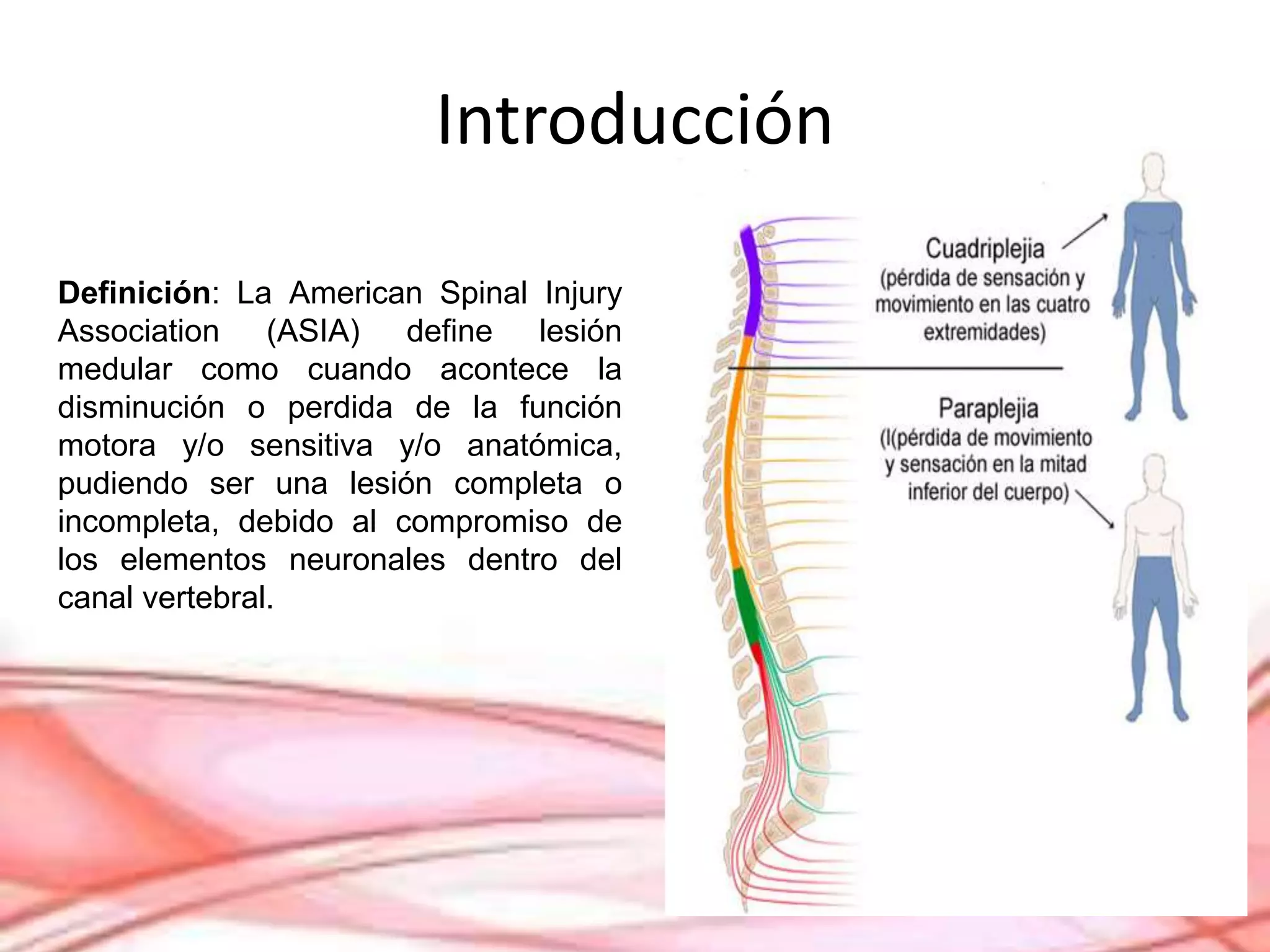 Lesion medular | PPT | Descarga Gratuita