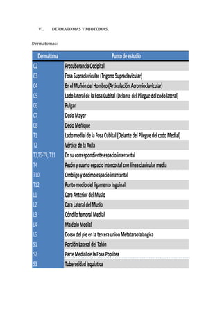 Tabla De Miotomas Y Dermatomas