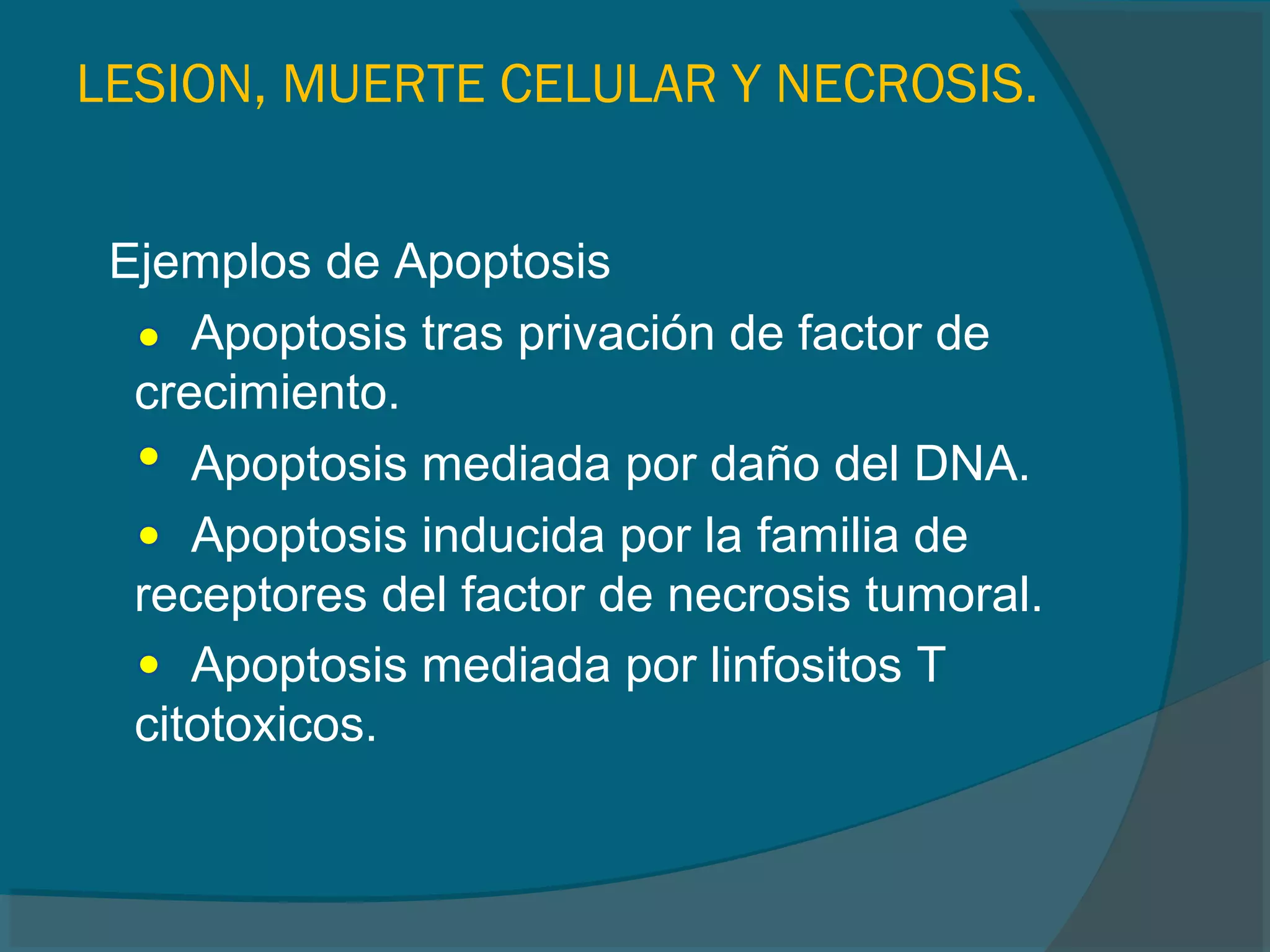 Lesion, muerte celular y necrosis (1) | PPT