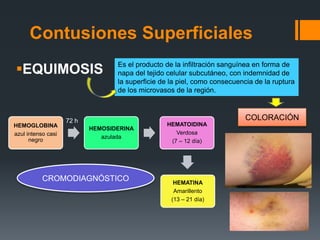 Lesionologia | PPTX