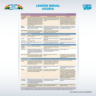LESION RENAL AGUDA. resumen de harrison med int. | PDF