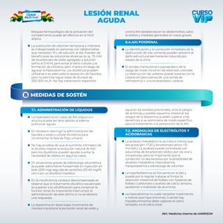 LESION RENAL AGUDA. resumen de harrison med int. | PDF