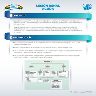 LESION RENAL AGUDA. resumen de harrison med int. | PDF